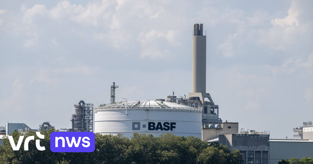 Werknemers BASF reageren verdeeld op aangekondigde jobverlies: "We zullen harder moeten werken ...