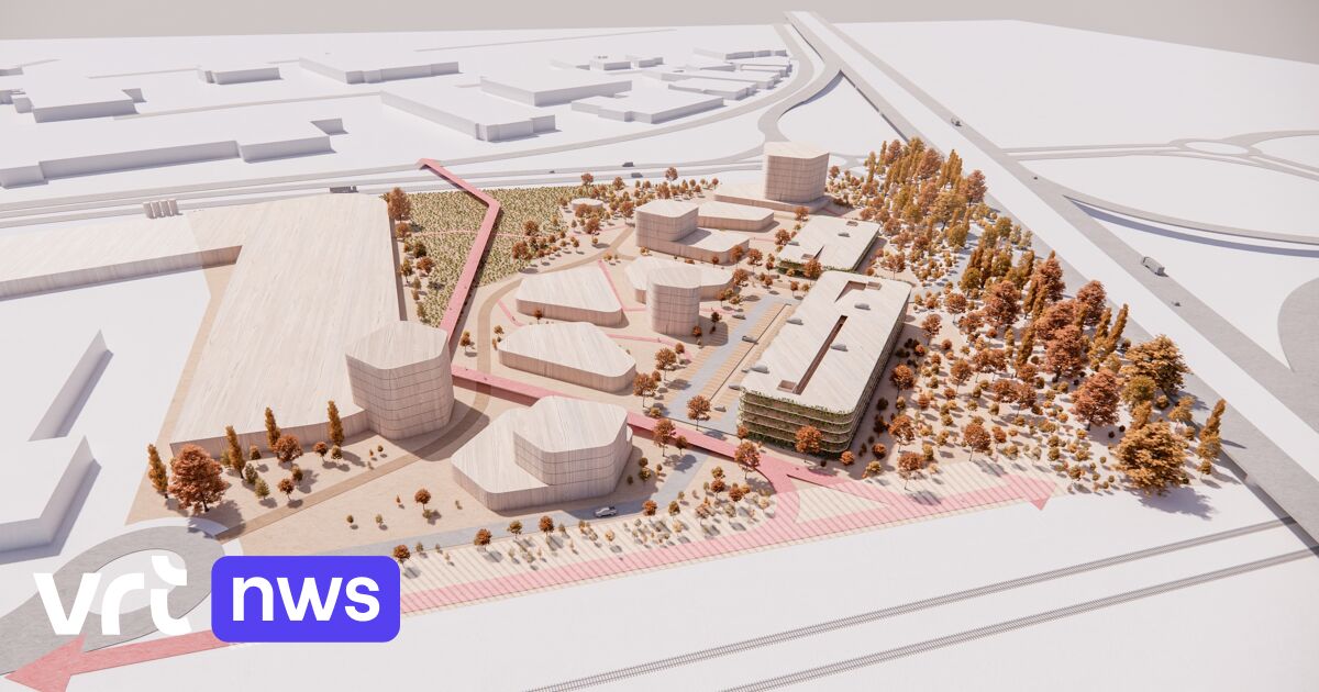 Pelt krijgt grote nieuwe bedrijvencampus van 50.000 vierkante meter ...