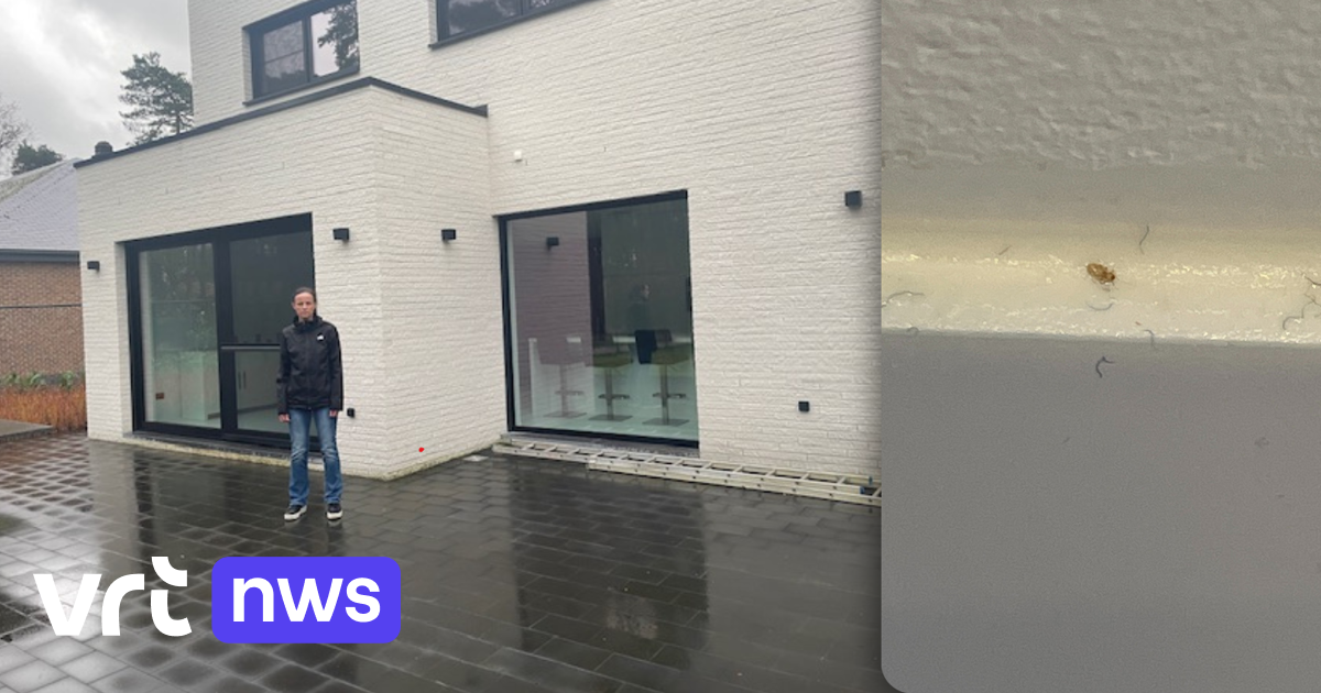 Katleen uit Tremelo vecht al 2 jaar tegen stofluizen in haar huis ...