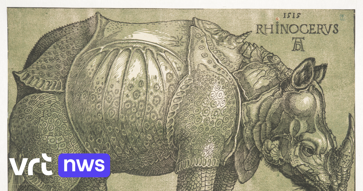 Le musée De Reede évoque le séjour anversois d'Albrecht Dürer avec une ...