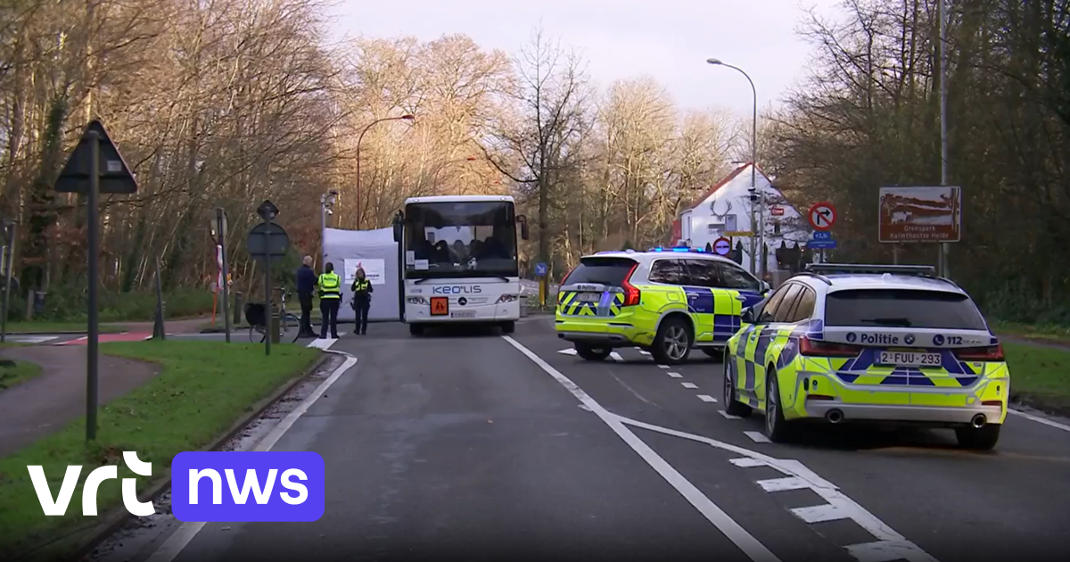 Fietsster (14) overlijdt na ongeval met bus in Putte-Kapellen, burgemeester: "Hoogste prioriteit ...