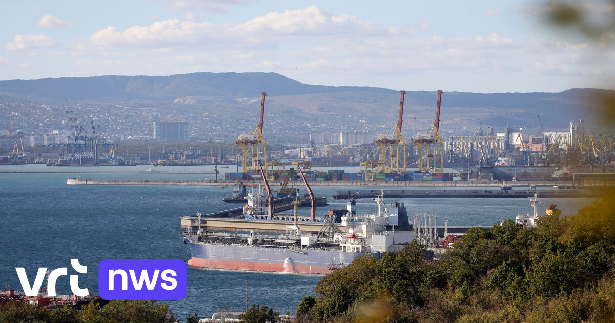 Steeds meer olie spoelt aan op kusten van Zwarte Zee nadat 2 schepen ...
