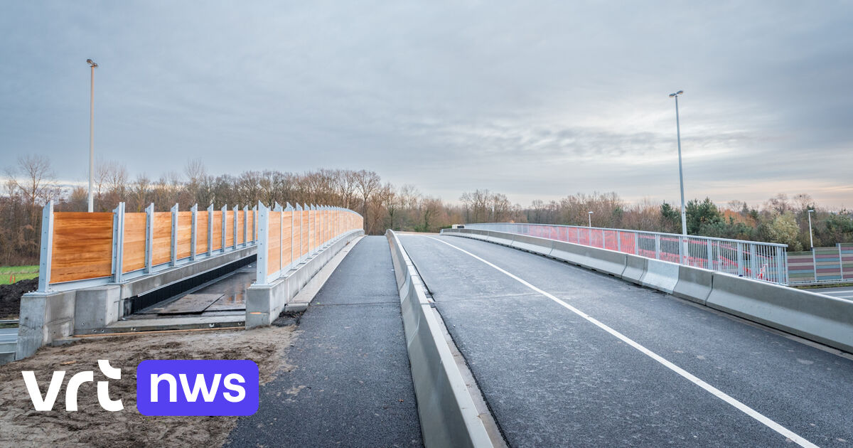 Nieuwe brug over E313 in Ranst opent: veiliger voor verkeer én dieren | VRT NWS: nieuws