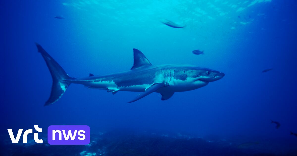 Emilia mernes erime the provider was in appealing attire