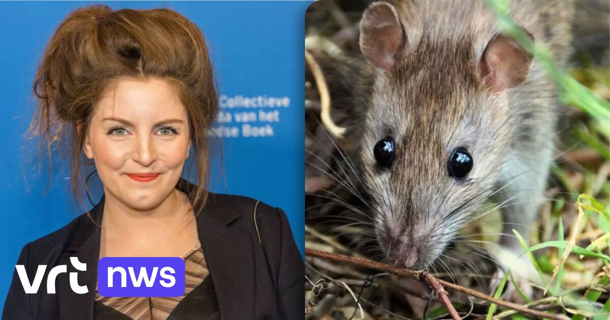 Auteur Lize Spit filmt 8 ratten op plein in Anderlecht: "De rat ...