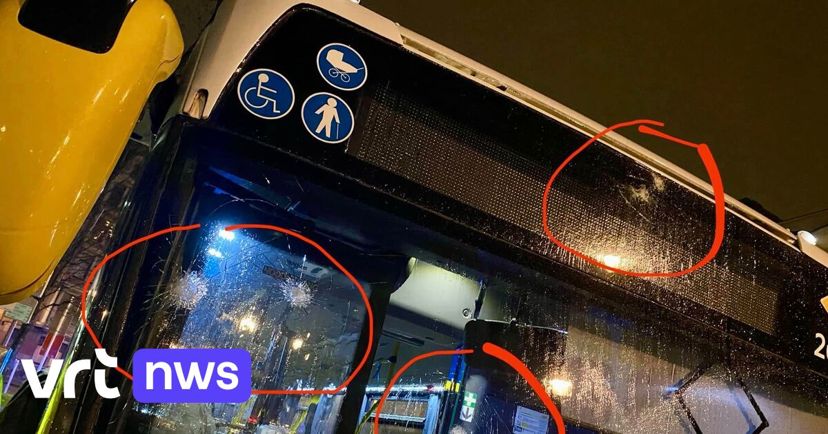 Bus shot at near to Brussels park | VRT NWS: news