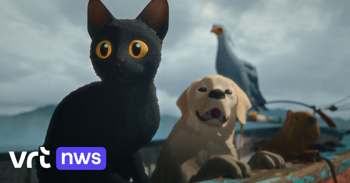 Brusselse coproductie 'Flow' wint Oscar voor beste animatiefilm: "De ...