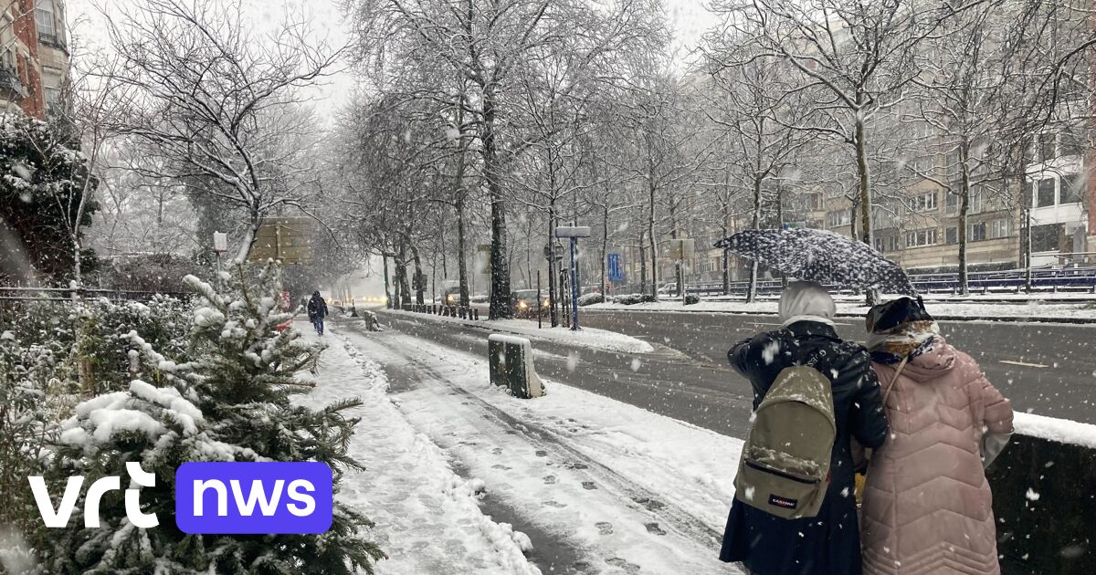 Eerst sneeuw in groot deel van het land, dan opklaringen | VRT NWS: nieuws