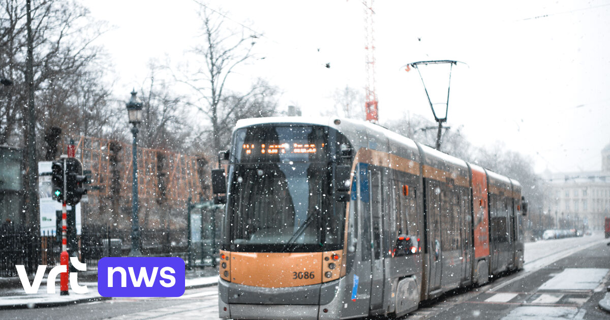 Brusselse tramhaltes De Trooz, Koning en Kleine Zavel worden de komende ...