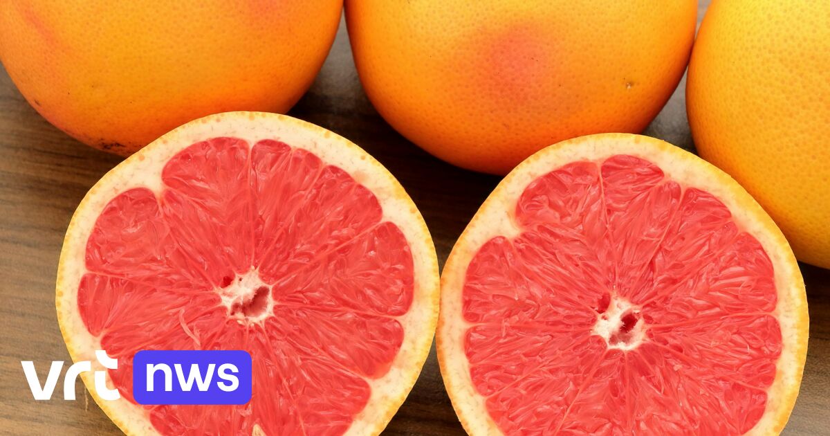 Gen ontdekt dat pompelmoes onveilig maakt voor medicijngebruikers ...
