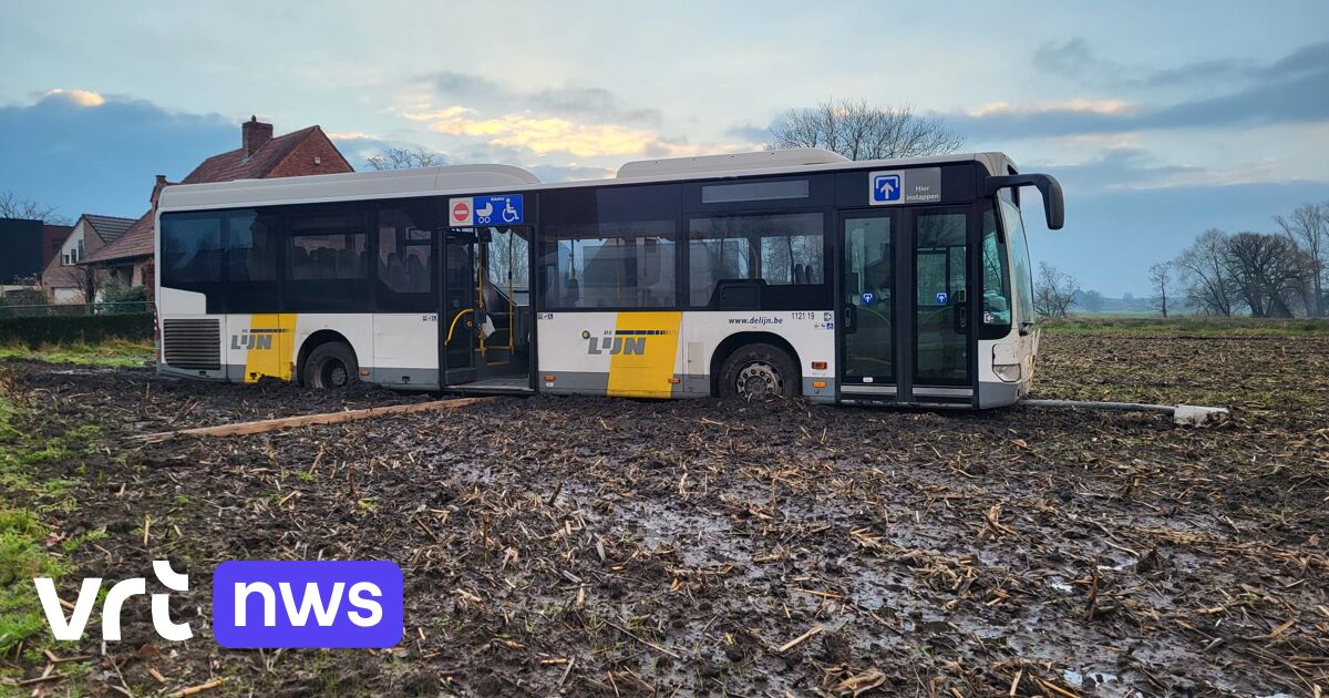 Bus vol scholieren belandt in weide in Retie: chauffeur werd onwel ...