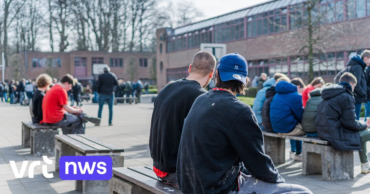 Middelbare school Gitok uit Kalmthout stopt met 7e jaar: "Nog amper ...