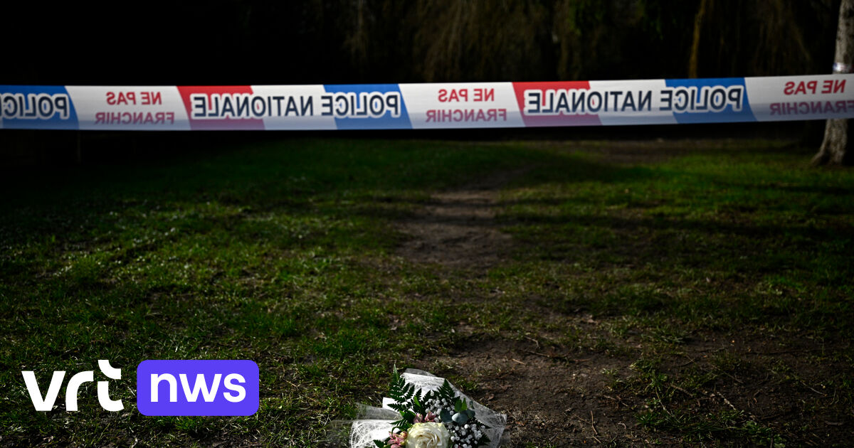 Lichaam van vermist meisje (11) gevonden in bos nabij Parijs, 2 verdachten opgepakt | VRT NWS ...