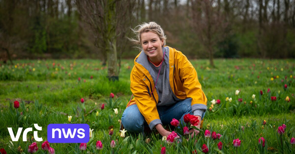 Zo Hollands is het Antwerpen van 'Nederlands' burgemeester Els van ...