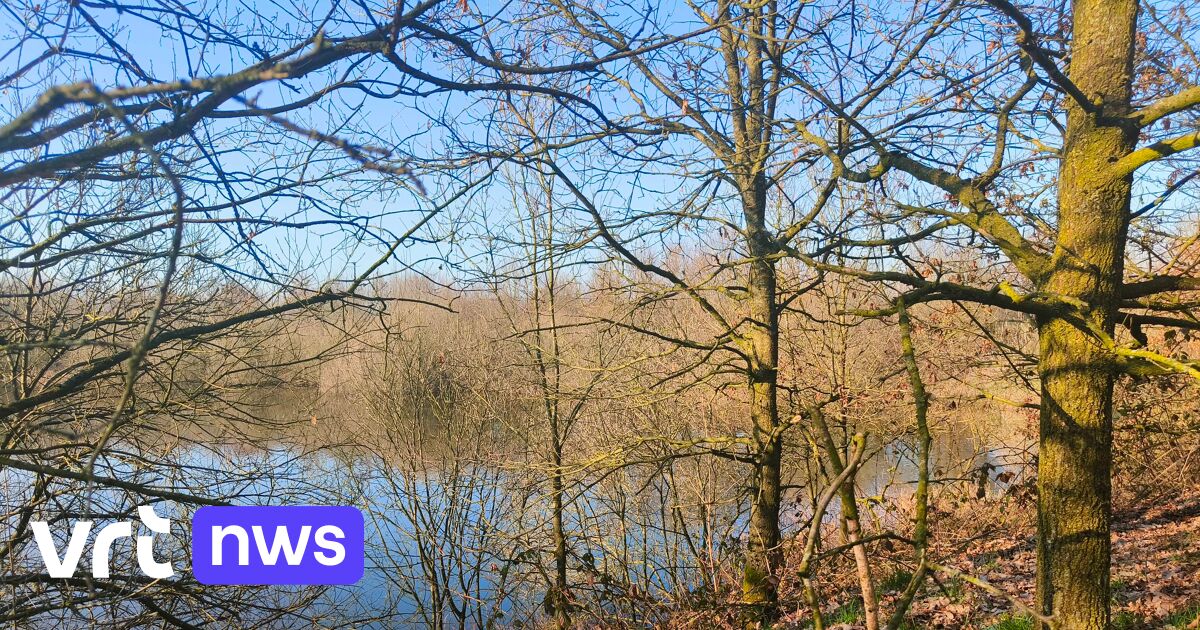 Man (67) overleden na ongelukkige val in vijver in Oudsbergen | VRT NWS: nieuws
