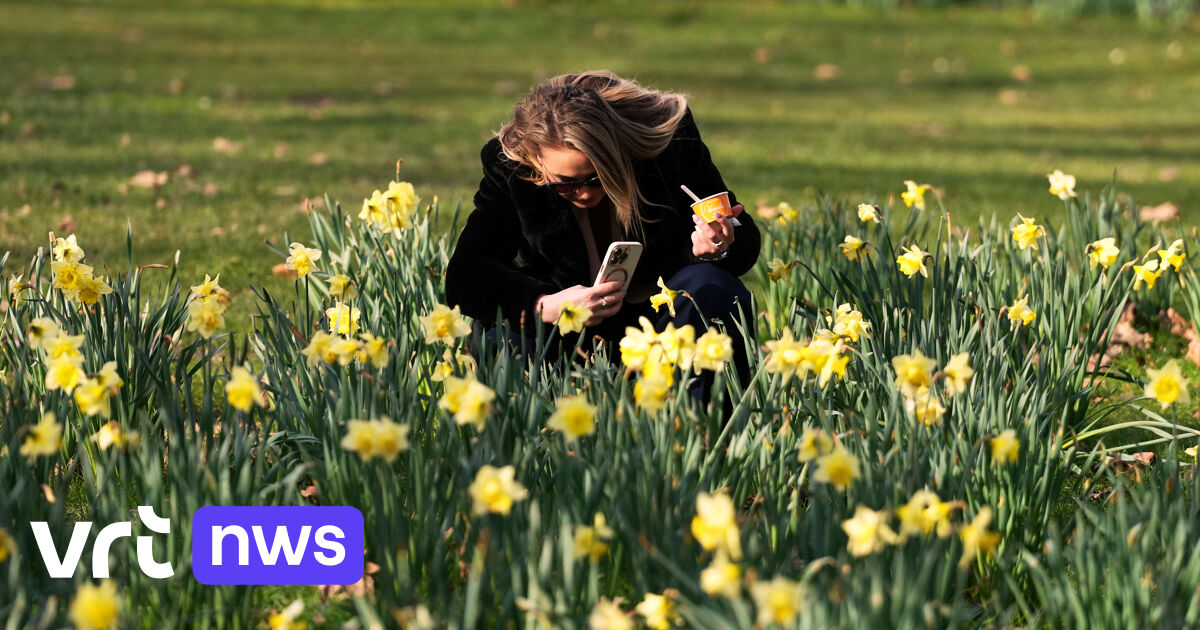 18,3 graden in Ukkel: KMI meet nieuw dagrecord voor 7 maart ...