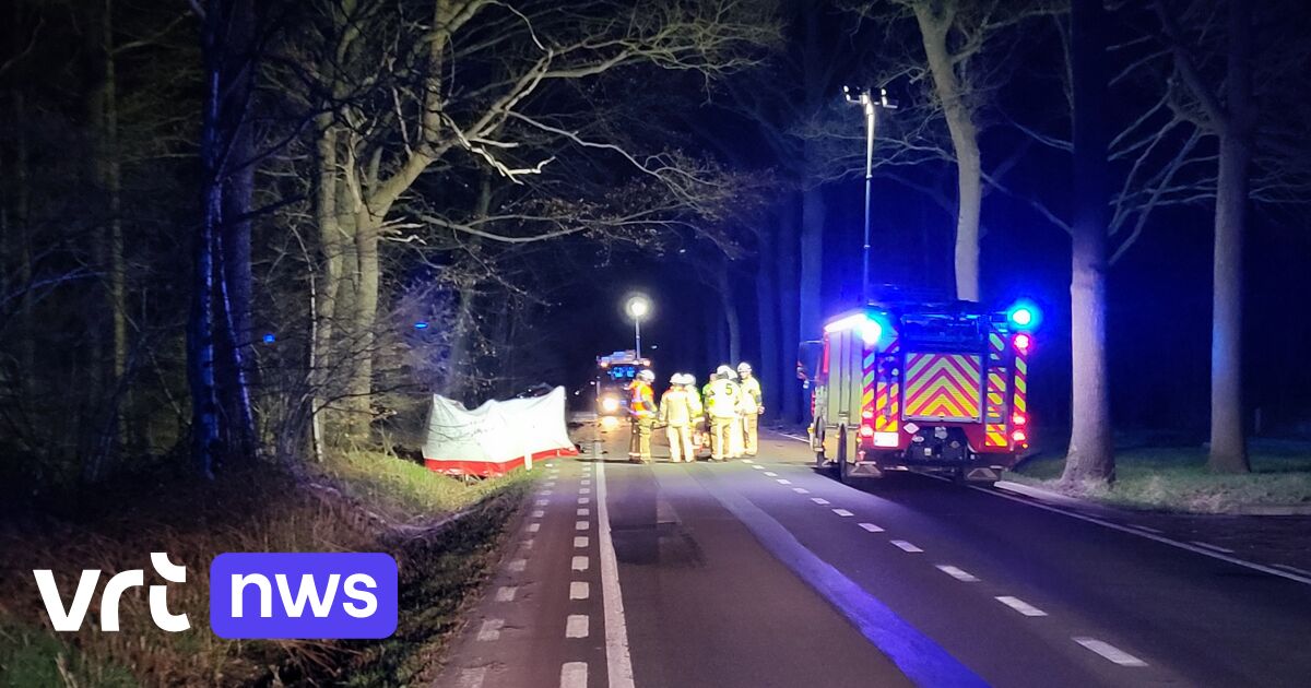 Dertiger komt om het leven bij verkeersongeval in Poederlee bij Lille ...