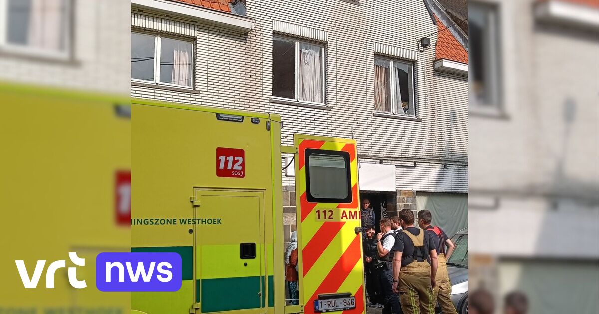 11 leden van zelfde familie uit Diksmuide naar ziekenhuis door CO ...