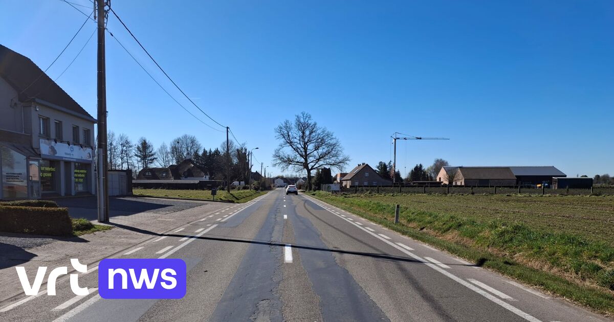 Ravels neemt N137 over van Agentschap Wegen en Verkeer om gewestweg zelf veiliger te maken | VRT ...