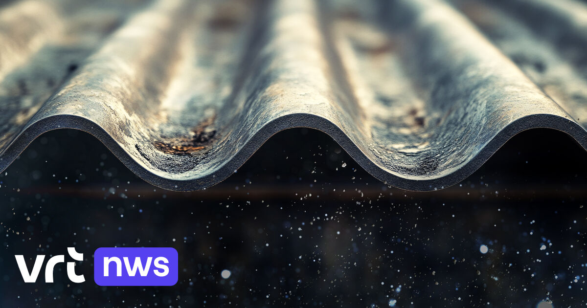 Robert (67) moet kopers van zijn huis 300.000 euro terugbetalen: "Verborgen gebrek, en toch onze ...