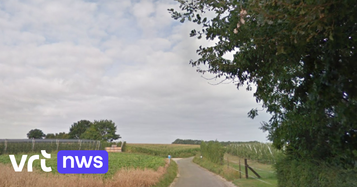 Illegale grondstorting van 6 meter hoog ontdekt in Sint-Truiden ...