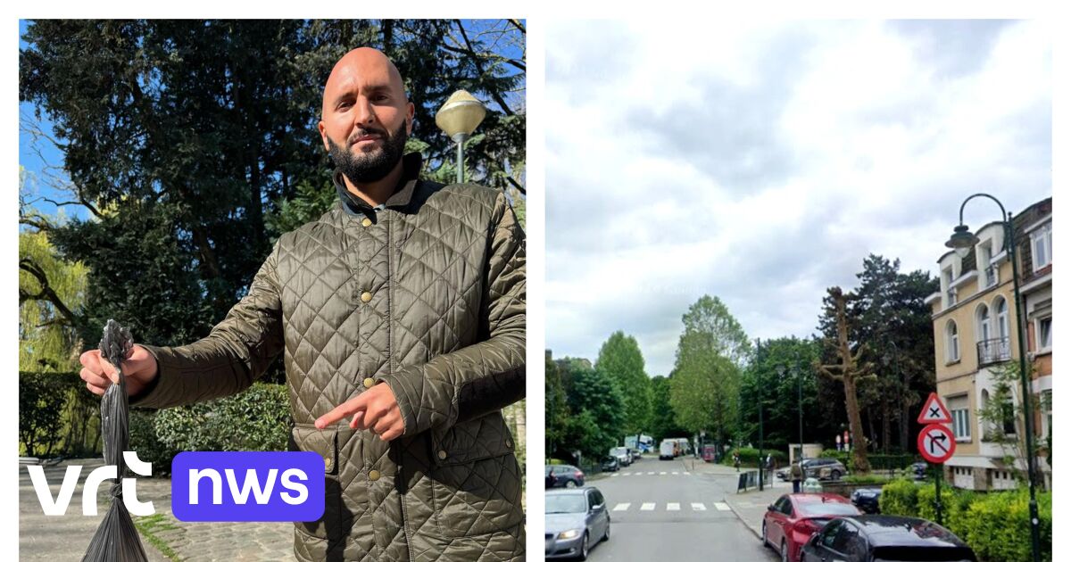Laken kampt met enorme rattenplaag: "Via grootschalige operaties de ...