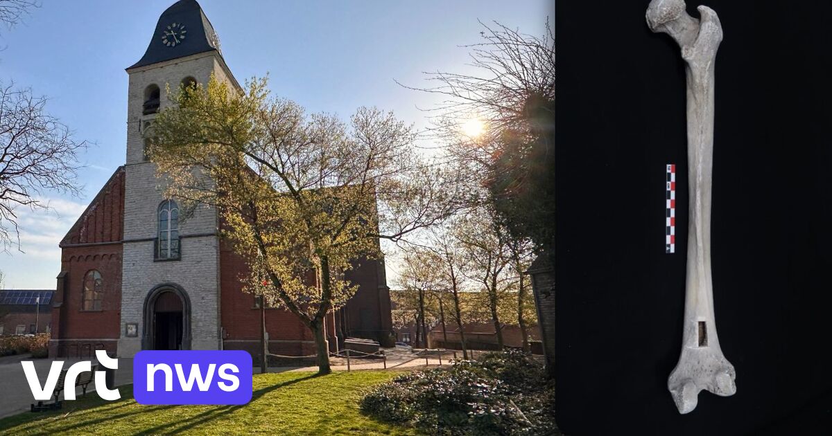 Menselijke schedel en dijbeen ontdekt tijdens restauratie van Sint ...