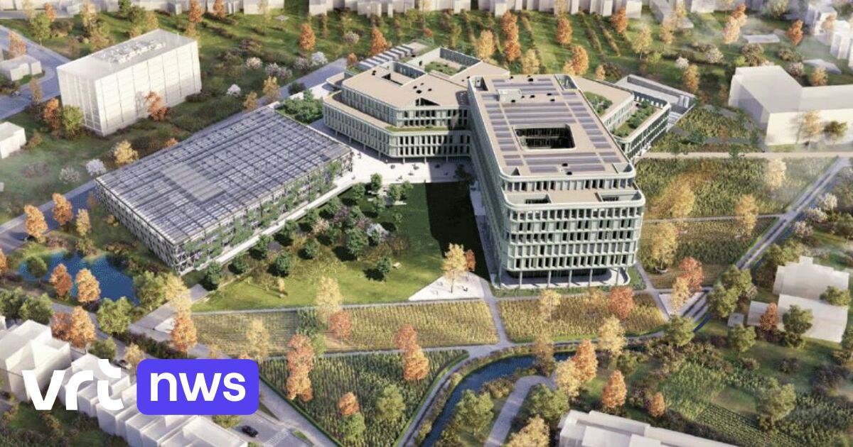 Bouw nieuw ziekenhuis Tienen kan eindelijk starten, burgemeester ...