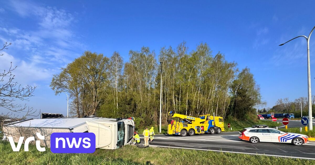 Oprit E40 in Ternat urenlang afgesloten door gekantelde vrachtwagen met geslachte varkens | VRT ...