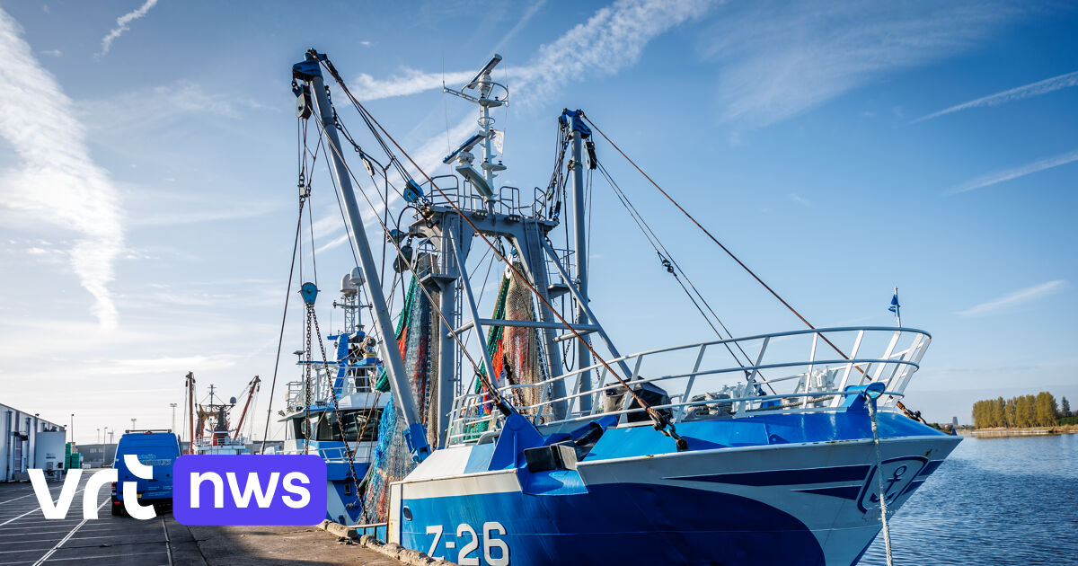 Vlaamse vissers mogen meer vissoorten vangen in de Noordzee, minder in ...