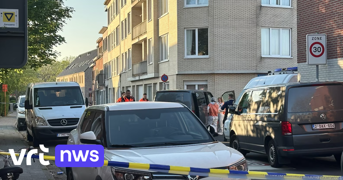 Man doodgestoken in Turnhout, politie schiet vermoedelijke dader dood ...