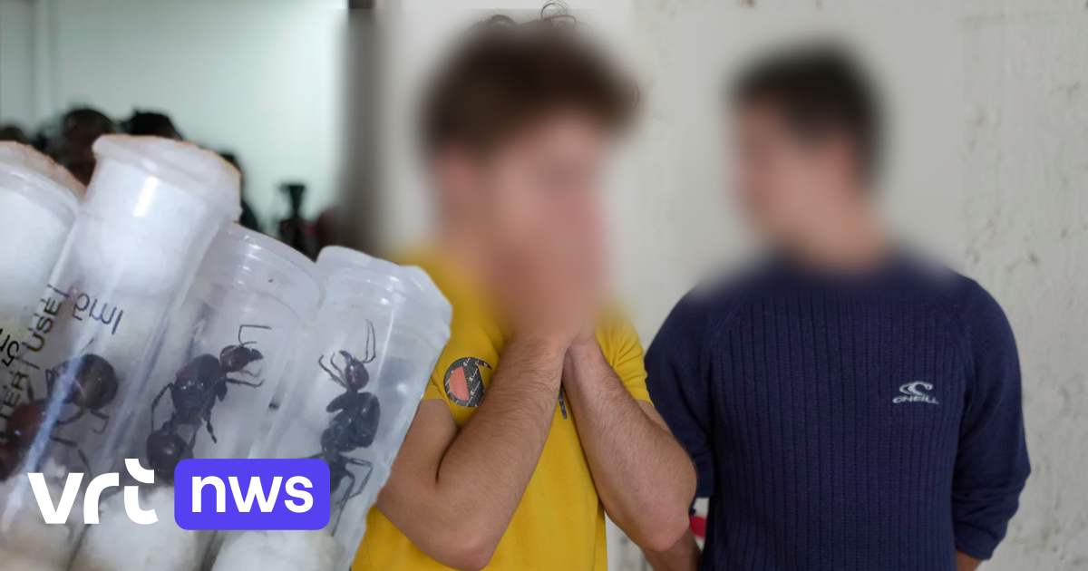 Belgische tieners in Kenia veroordeeld tot boete van bijna 7.000 euro of 1 jaar celstraf voor ...