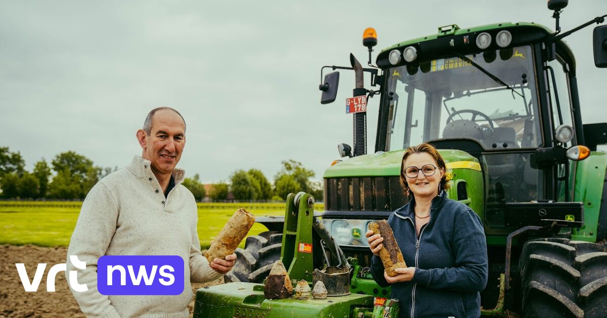 West-Vlaamse boeren vinden nog altijd munitie uit Eerste Wereldoorlog ...