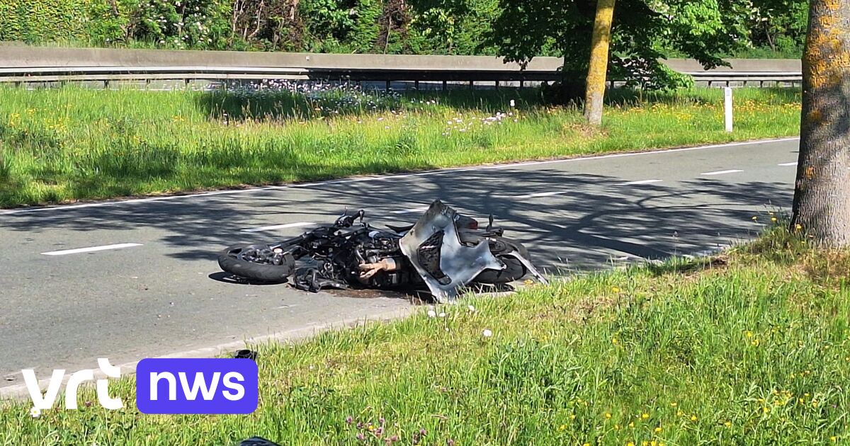 Dodelijk kruispunt in Meise wordt versneld veiliger gemaakt | VRT NWS: nieuws