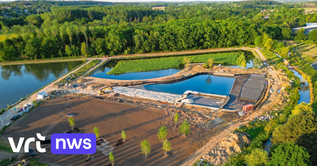 Natuurlijke zwemvijver in Aarschot is bijna klaar: "Als waterkwaliteit ...