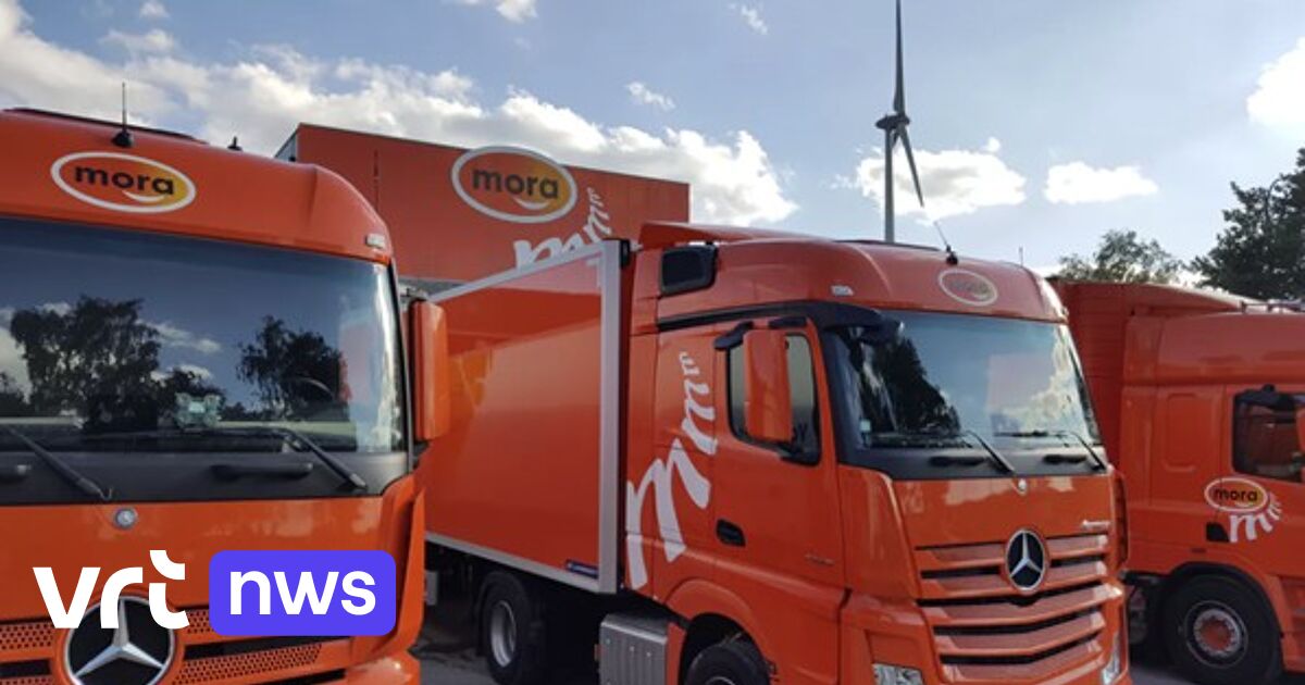 Voka Mechelen-Kempen over de sluiting van Mora Mol: "Alle lichten staan ...