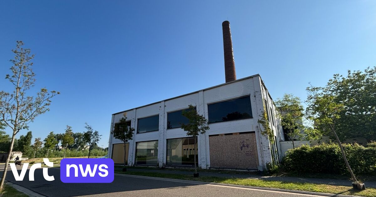 Politie en parket onderzoeken brand in oude gelatinefabriek in Hasselt ...