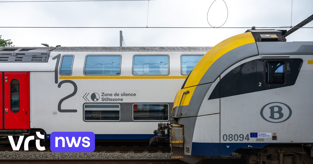NMBS opent tijdelijk treinstation op Antwerpse Linkeroever tijdens premetrowerken in 2026 | VRT ...