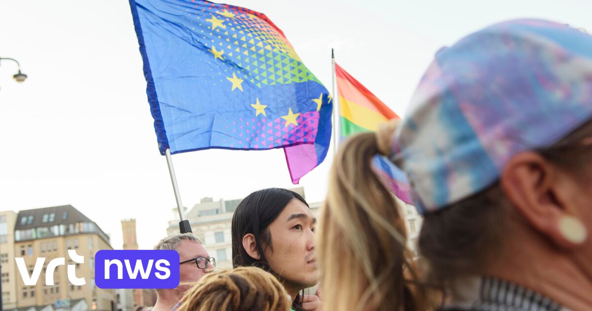 16 EU-lidstaten veroordelen Hongaars pride-verbod en vragen Europese Commissie om actie | VRT ...