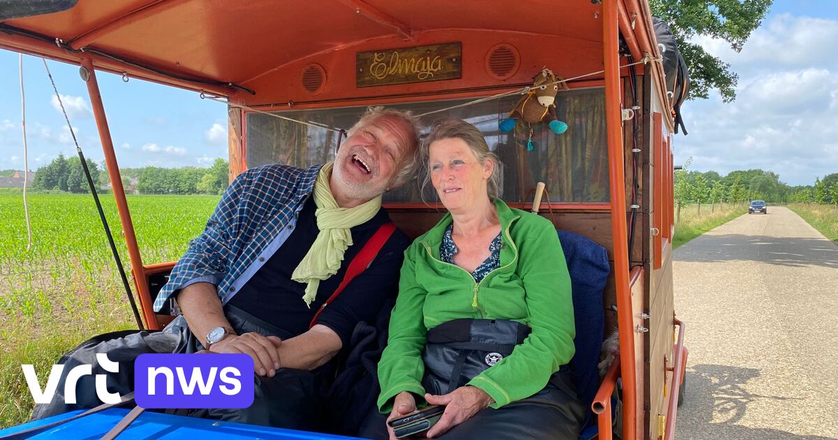 "Bon voyage, in de bloei van je slijtage": huifkar met muildieren ...