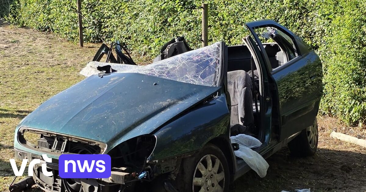 Vrouw zwaargewond na botsing tegen boom in Verrebroek | VRT NWS: nieuws