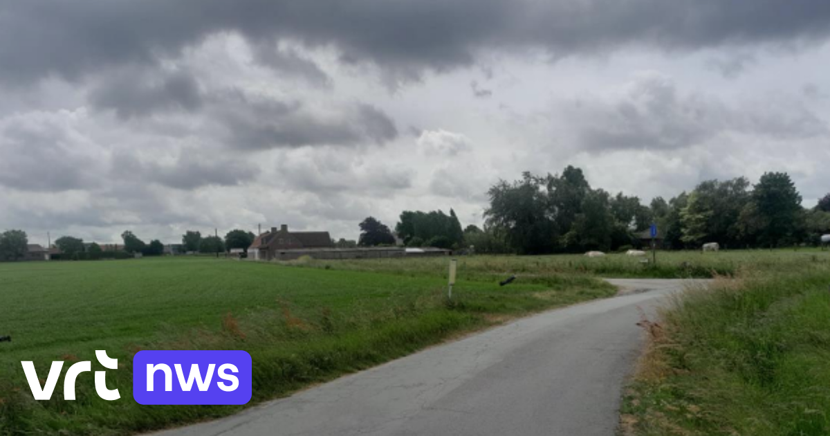Ongerustheid in Pittem over opslag van slib in landbouwgebied: "Bang ...