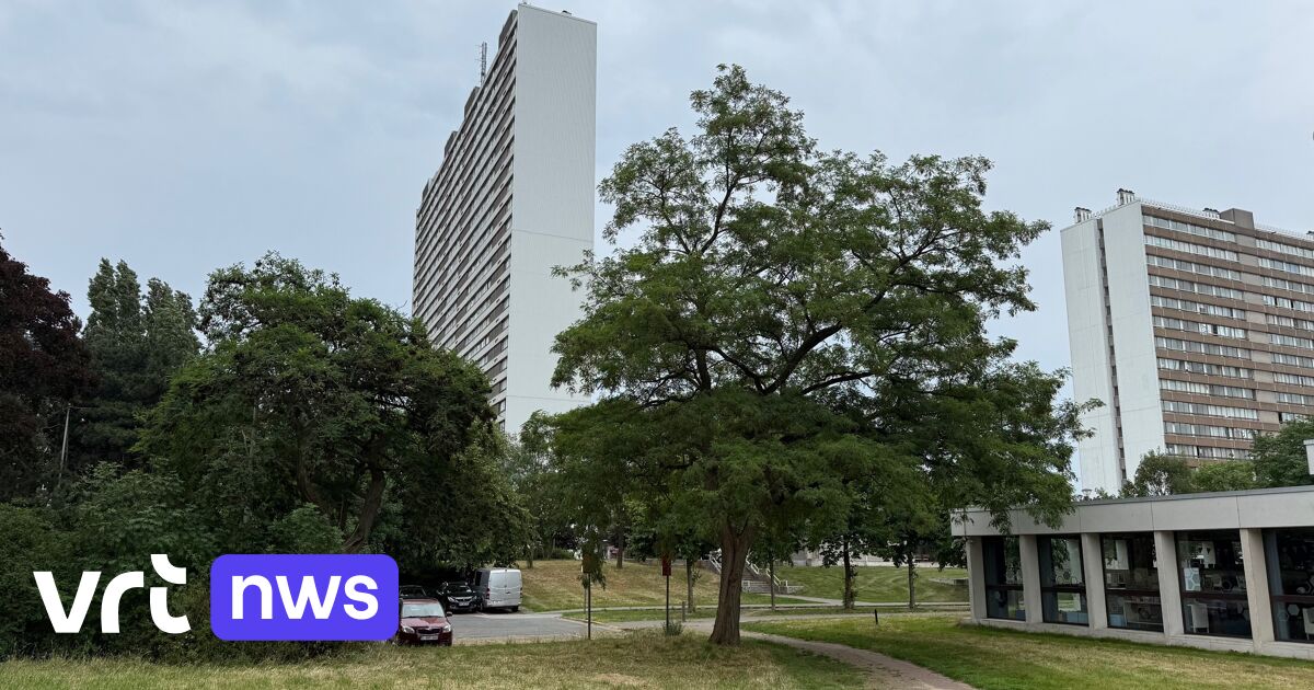 Bewoners Chicagoblok op Antwerpse Linkeroever getuigen over krakers ...