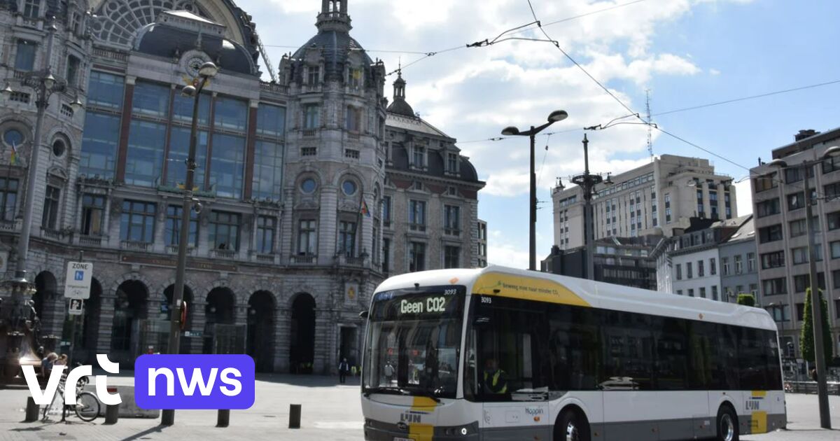 New electric buses enter service in Antwerp | VRT NWS: news