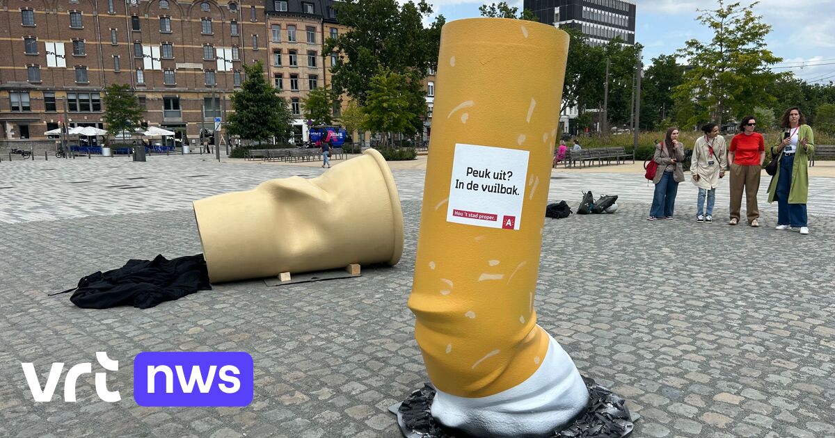 Grote beelden, influencers en filmpjes in bioscopen: stad Antwerpen ...