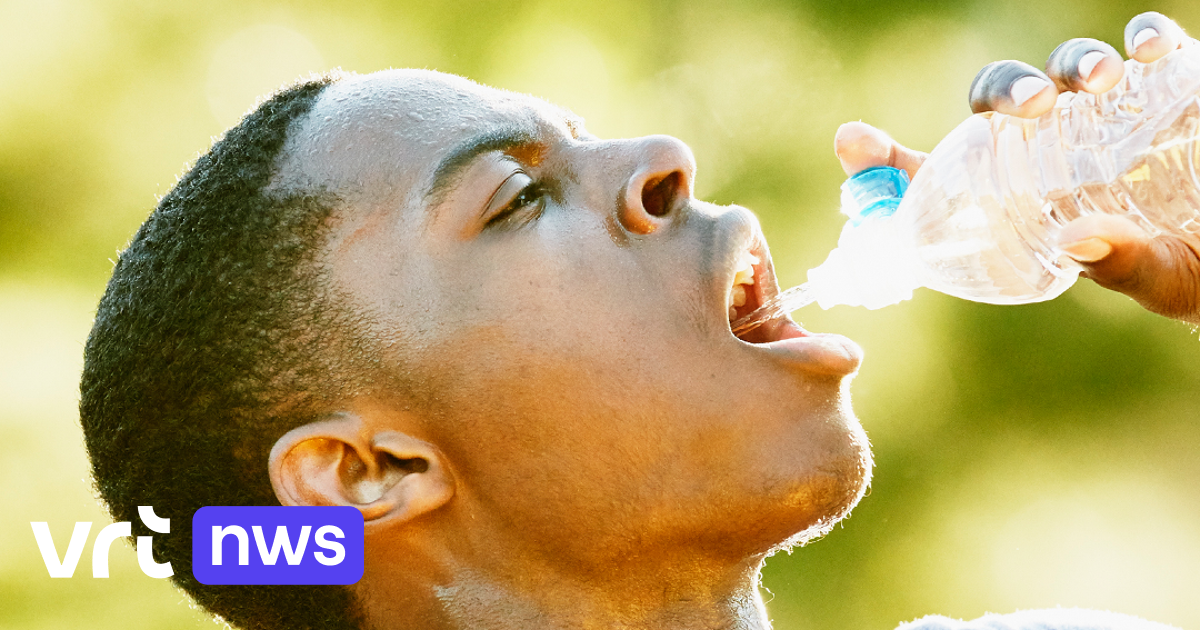 Amber heat warning for lion’s share of Belgium Tuesday and Wednesday ...