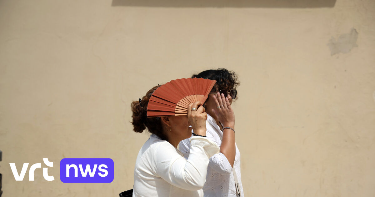 Alleen al in enkele grote steden kostte de hittegolf eind juni meer dan ...