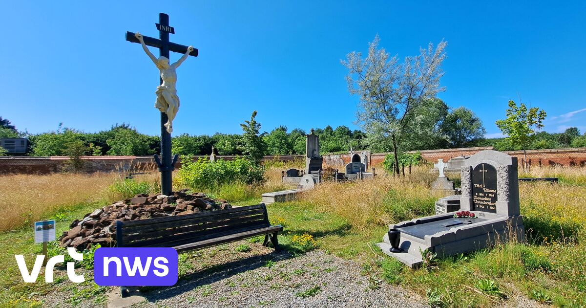 Calvariekruis op oud kerkhof Bekkevoort gerestaureerd, historische site ...