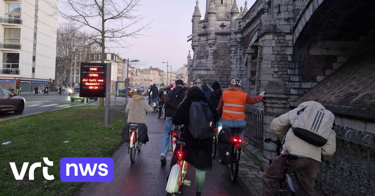 Aantal fietsers in Antwerpen blijft toenemen, maar kunnen fietspaden toestroom aan? "We werken ...