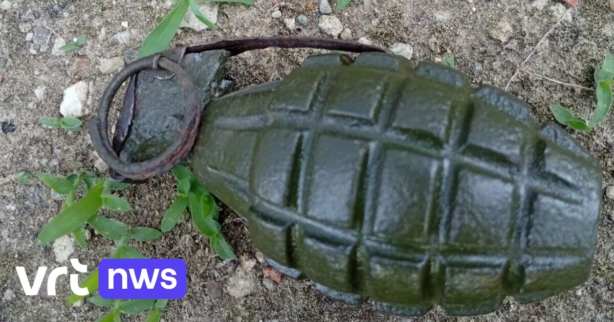 Recycle store finds live grenade among donated items | VRT NWS: news